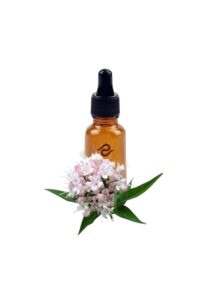 Tintura para la Incontinencia Urinaria UroTon